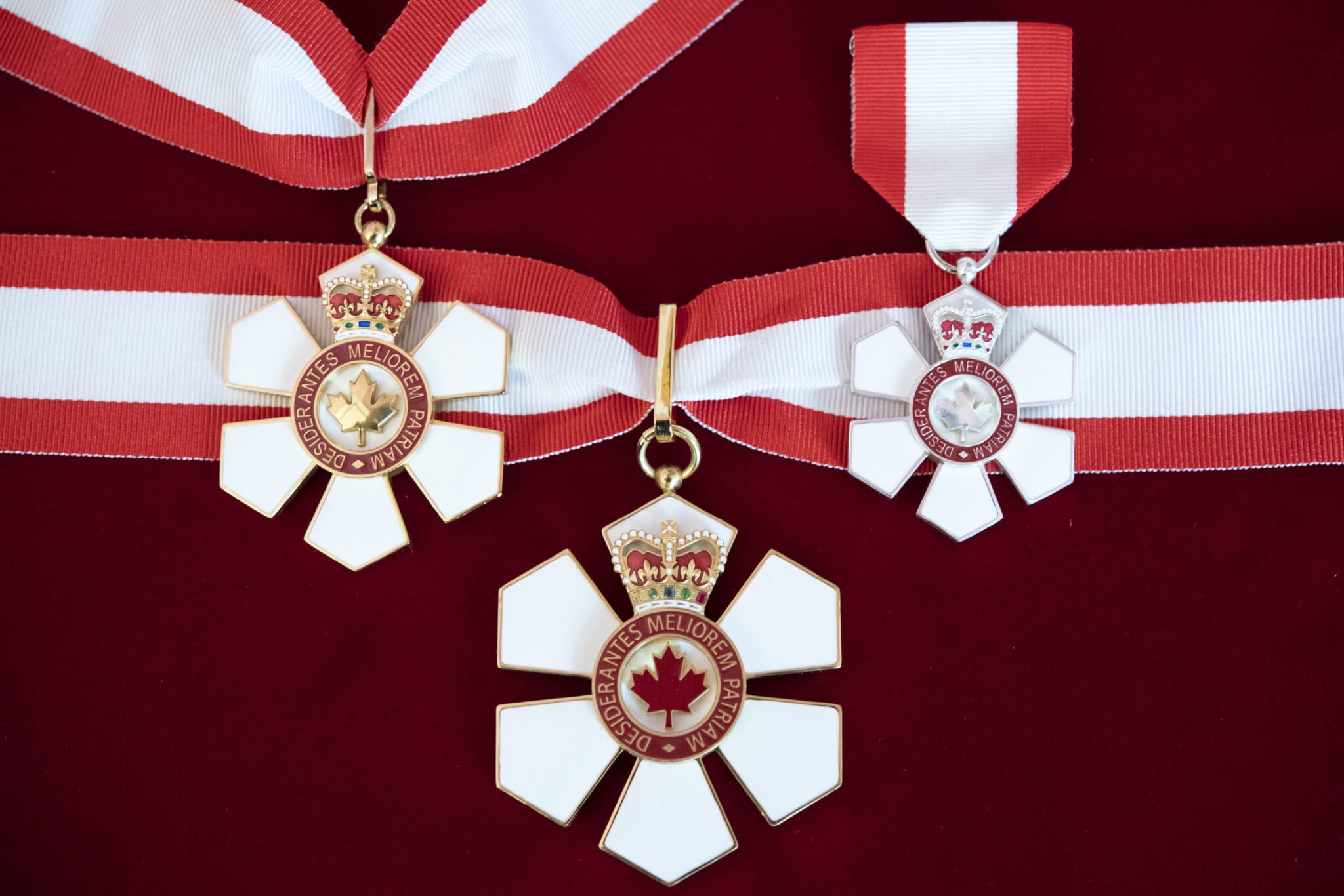 Order of Canada - RAIC | IRAC